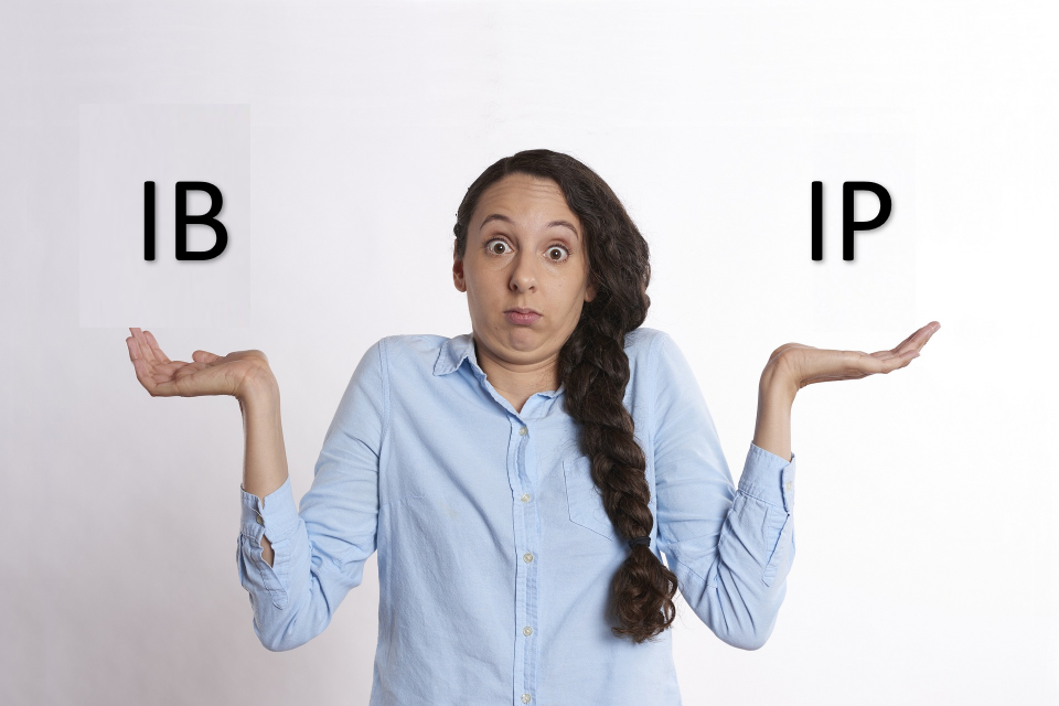 IP vs IB - Which One Should My Child Choose? - Conceptual Thinkers